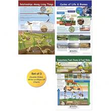 Bulletin Board Charts, Set/3 - Laminated, Double-Sided, Full-Color ...