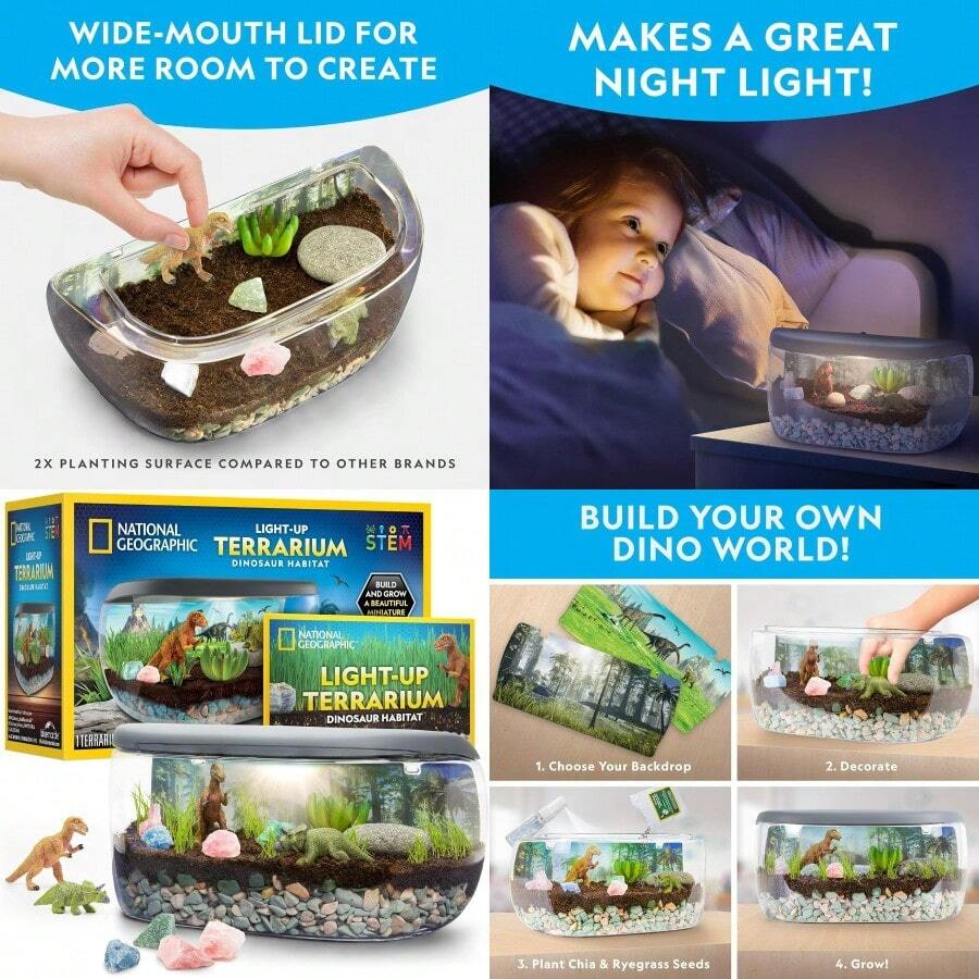 National Geographic Light Up Terrarium Kit For Dinosaur Terrarium Kit ...