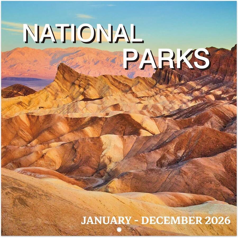 2026 Calendar, 2026 Monthly Square Wall Calendar With Thick Paper ...