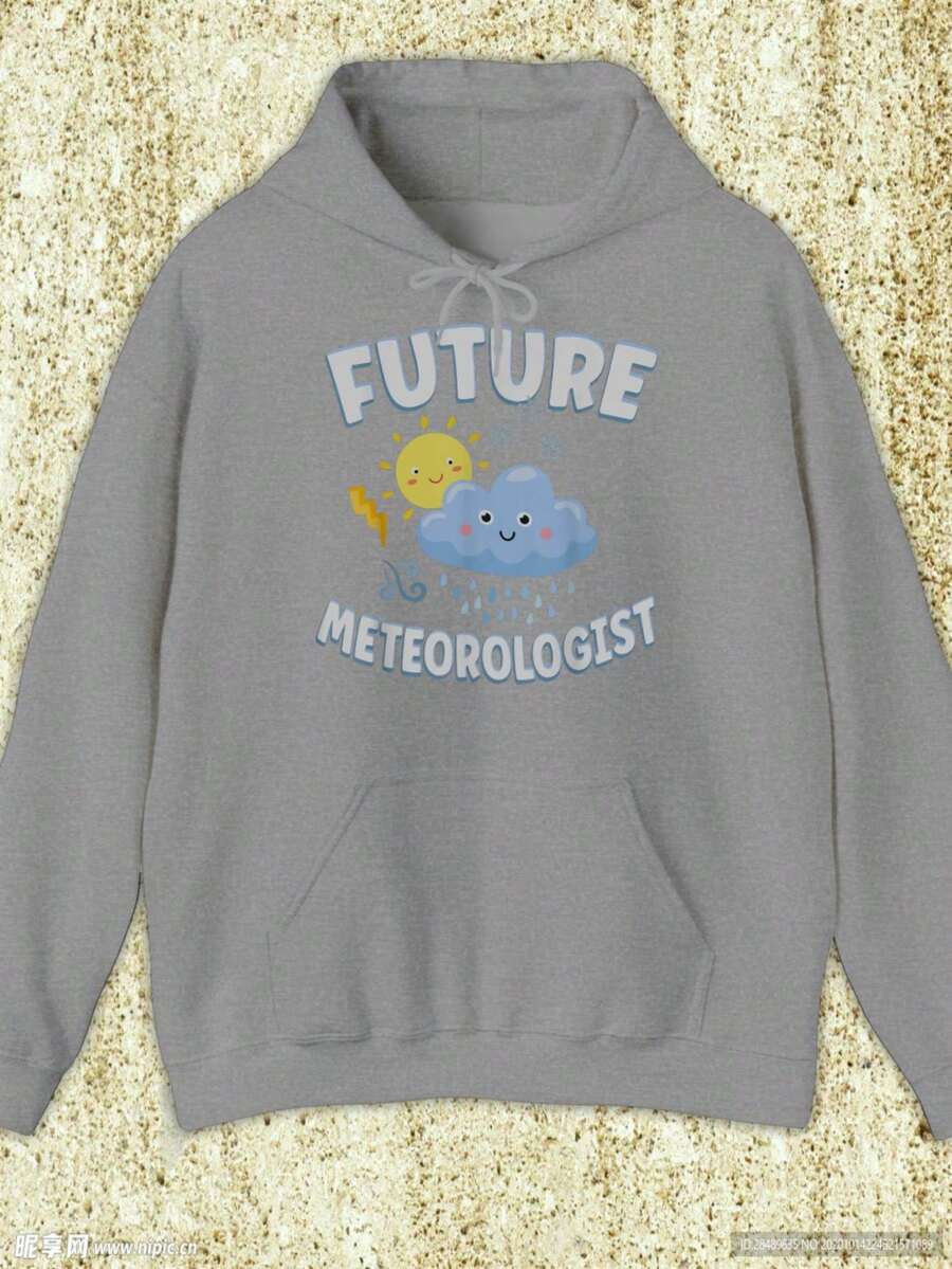 Gray Hoodie, Weather Forecast Expert, Pullover Hoodie, Machine Washable ...