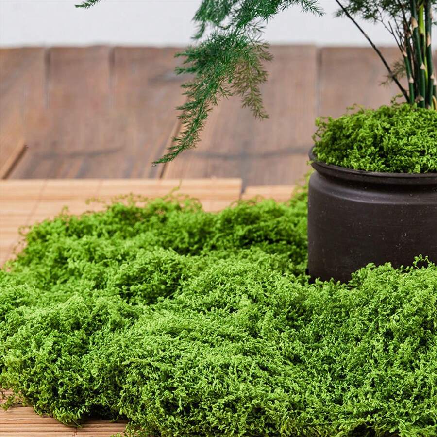 Artificial Moss For Home Decoration - Polyester Fake Moss, Suitable For ...