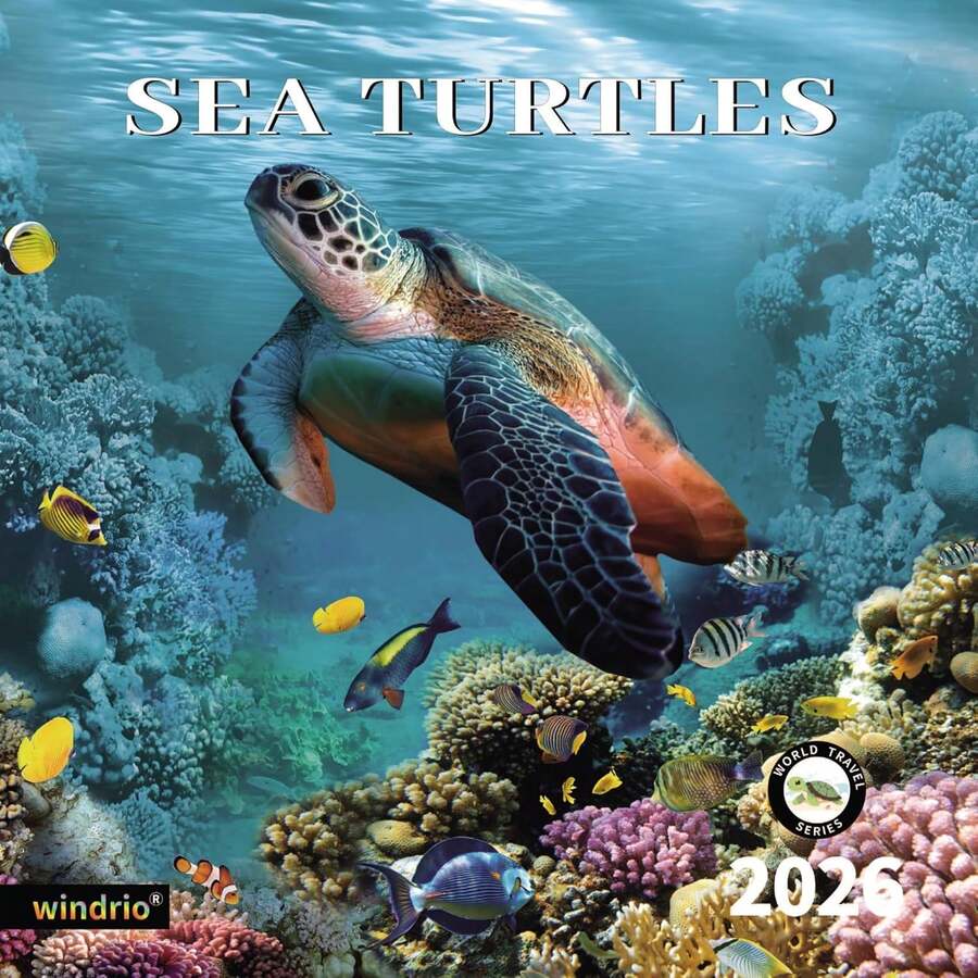 2026 Wall Calendar,Calendar 2026, November 2025 - December 2026, Wall ...