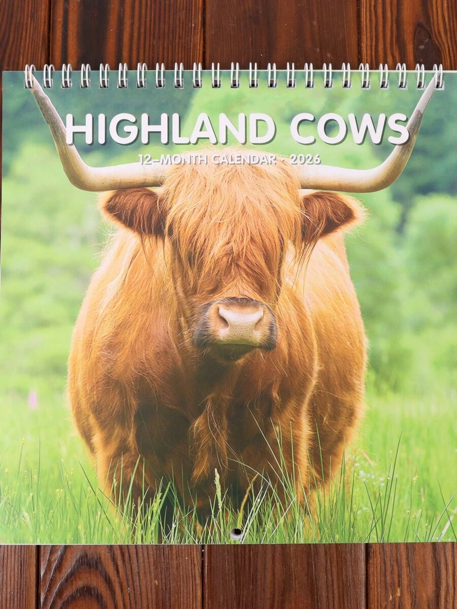 Highland Cow 2026 Square Desktop Calendar | SHEIN EUR