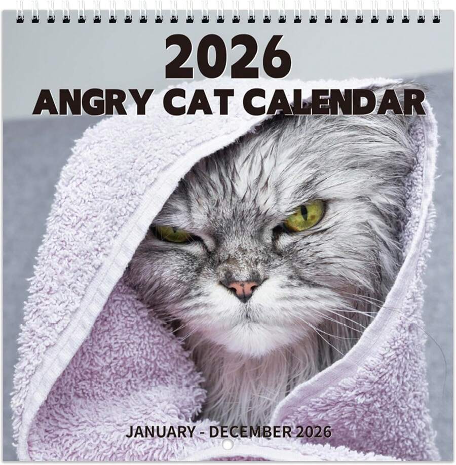 2026 Calendar - 2026 Wall Calendar, Pi-D-Off Cats Calendar 2026, Jan ...