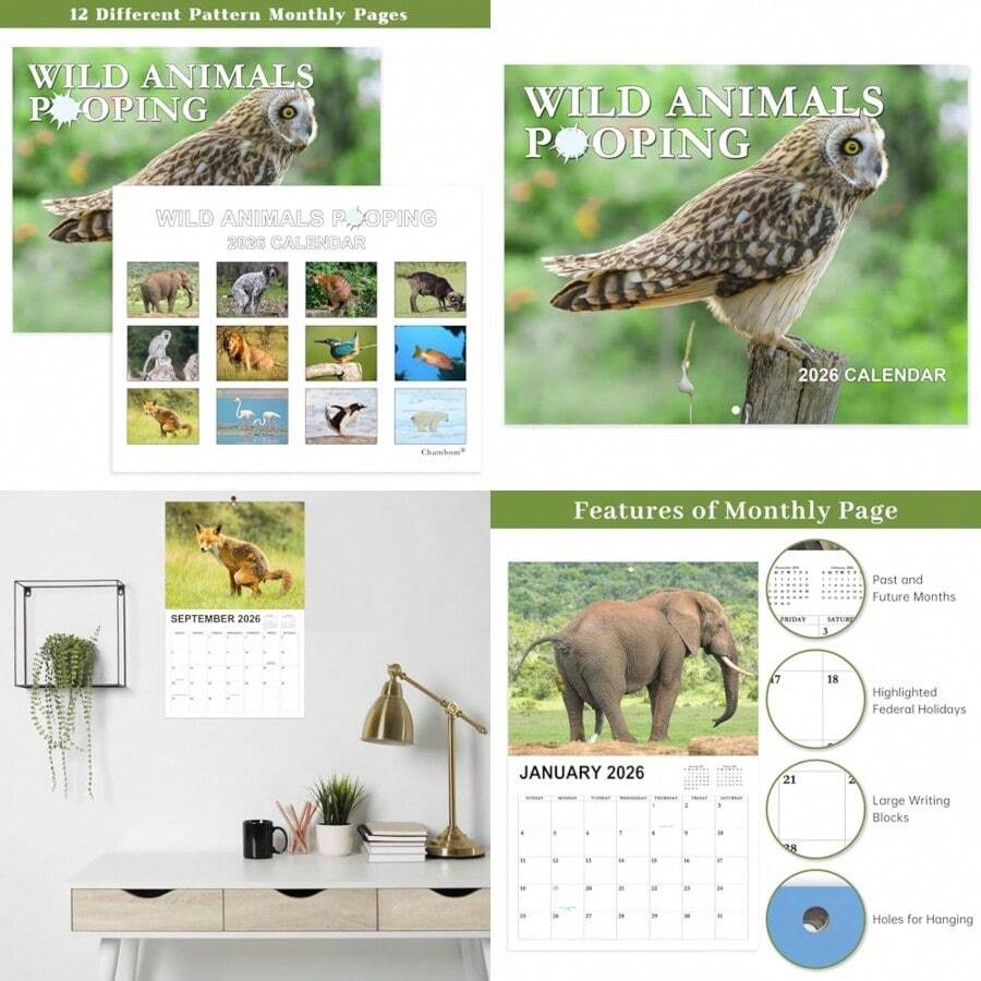 2026 Wall Calendar - Gag Gifts 12-Month Calendar 2026 From Jan. 2026 ...