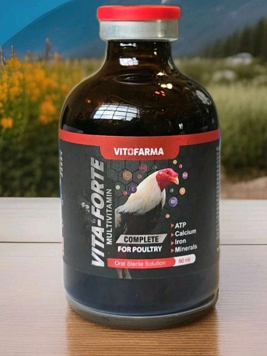 Vita Forte Complete Vitamins Mineral Multivitaminico Completo For ...