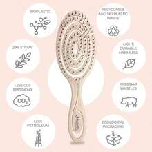 Ninabella Detangle Hair Brush For Women & Men - Does Not Pull ...