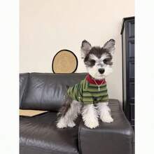 Vintage Style Pet Striped Shirt! Classic Green & Brown Dog Sweater ...