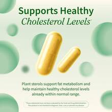 Minimal- - Cholesterol Health - Support Healthy Cholesterol Levels ...