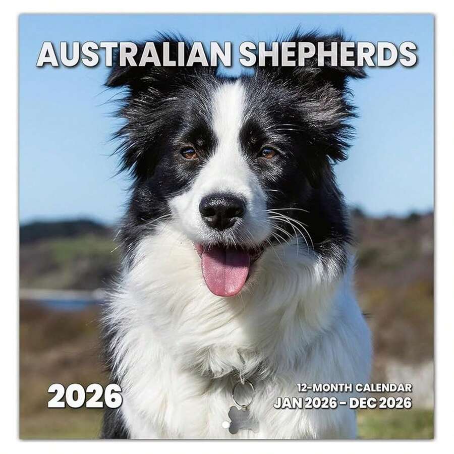 2026 Calendar, Australian Shepherds 2026 Dogs Wall Calendar, 14-Month ...