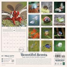 Calendario 2026 Hermosas Bestias | Calendario de pared 2026 ...