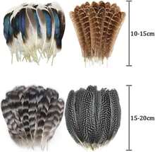 40pcs Natural Pheasant Feathers, Spotted Feathers, Turkey Feathers, 4 ...