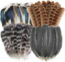40pcs Natural Pheasant Feathers, Spotted Feathers, Turkey Feathers, 4 ...