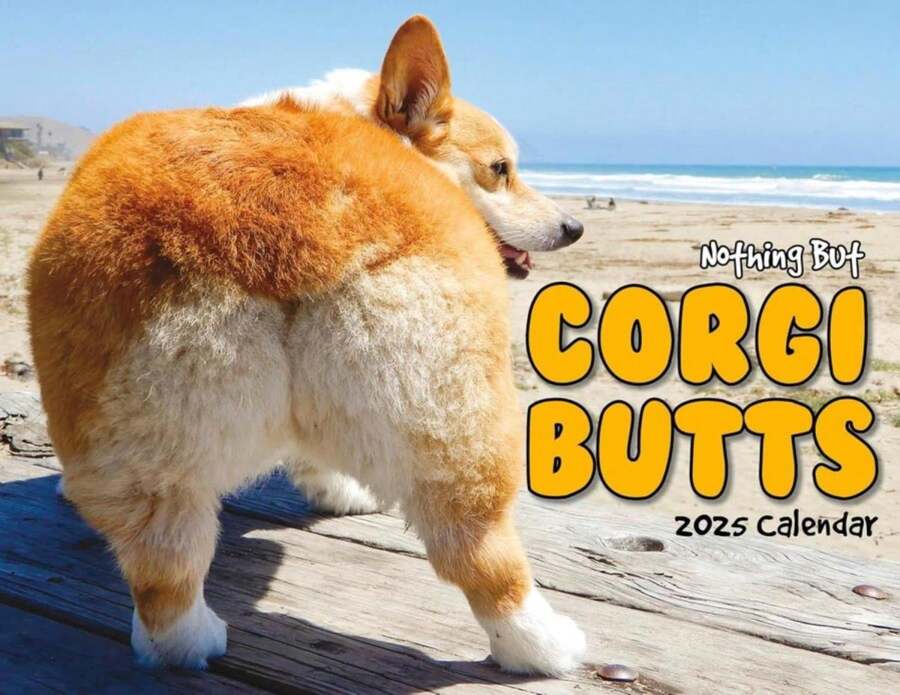 Corgi Butts 2025 Funny Dog Calendar - For Dog Lovers White Elephant And ...