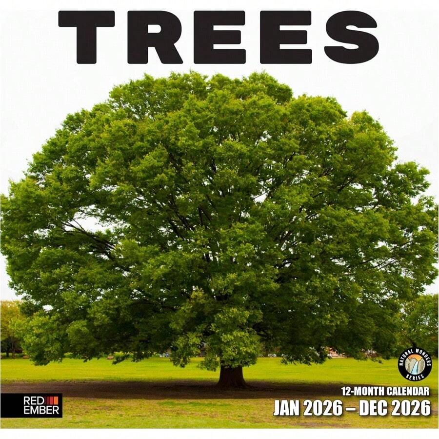 Trees 2026 Wall Calendar 12 Month 12 Inchx 24 Inch Open Thick Sturdy ...
