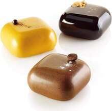 Silikomart Professional GEM100 Eight-Cavity Silicone Mold (1 Each ...