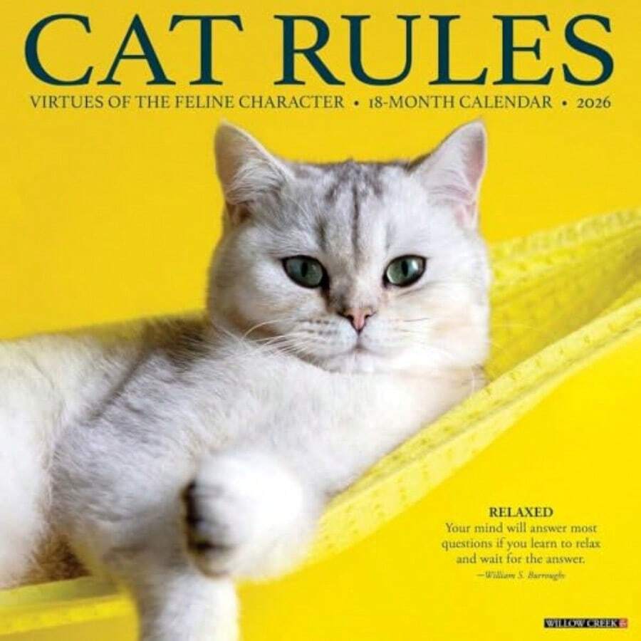 Cat Rules 2026 Wall Calendar 12'' X 12'' 18-Month Calendar With Stapled ...