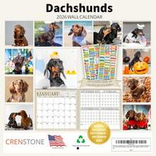 Dachshunds Calendar 2026 - Weiner Dog 2026 Wall Calendar Includes 100 ...
