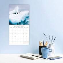 2026 Square Wall Calendar - Antarctica And Nature Scenes - 2026 ...