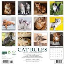 Cat Rules 2026 Wall Calendar 12'' X 12'' 18-Month Calendar With Stapled ...