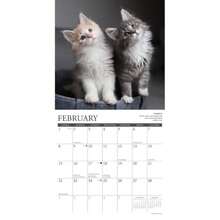 Cat Rules 2026 Wall Calendar 12'' X 12'' 18-Month Calendar With Stapled ...