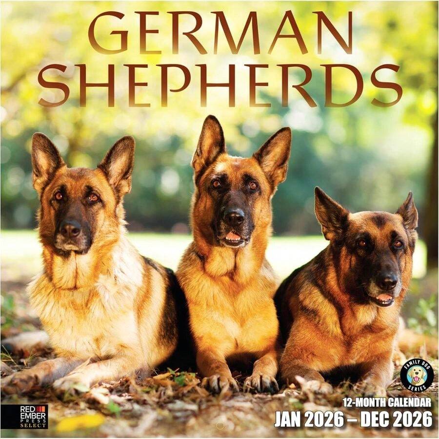 Select - German Shepherds 2026 Wall Calendar 12 Month 12x 24 Open Thick ...