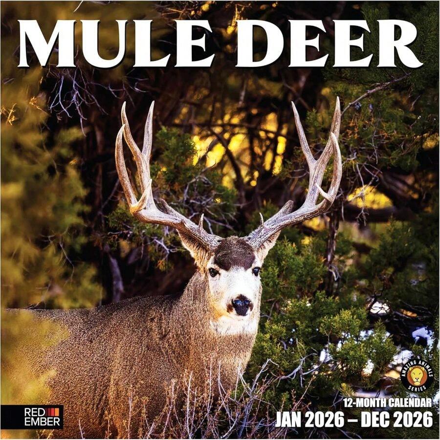 RED EMBER Mule Deer 2026 Wall Calendar 12 Month 12x 24 Open Thick ...