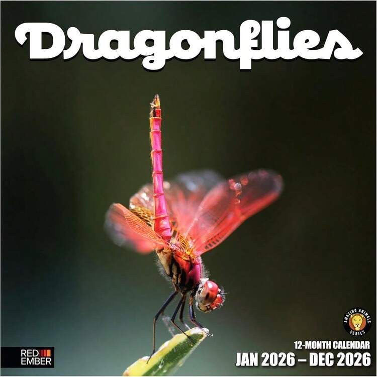 Dragonflies 2026 Wall Calendar 12 Month 12x 24 Open Thick Sturdy Paper ...
