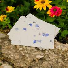 Nepali Cherish Greeting Card Envelope Deluxe Box Set With Handmade ...