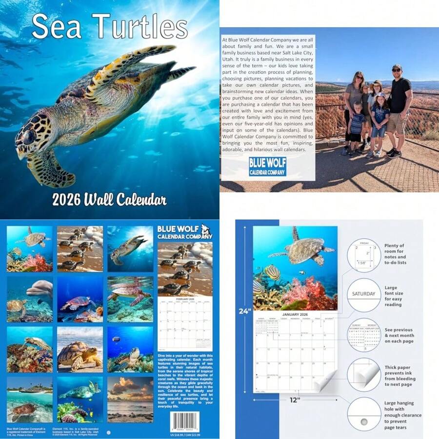 2026 Sea Turtles Monthly Wall Calendar Cute Animals Sea Creatures ...
