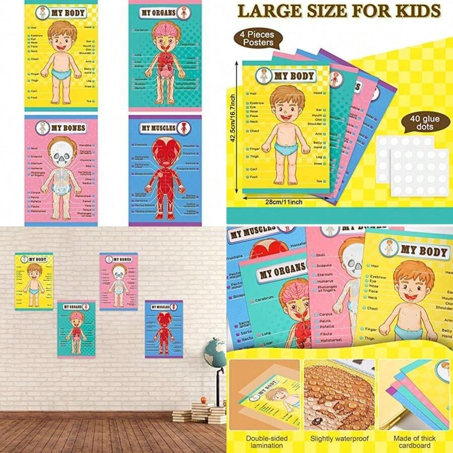 Póster educativo de aprendizaje del Body humano, Gráfico de partes del ...