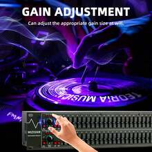 31-Band Dual Channel Graphic Equalizer-Professional Stereo EQ For Home ...