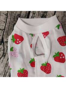 Roupa para castração/esterilização de gatos, roupa de amamentação com ...