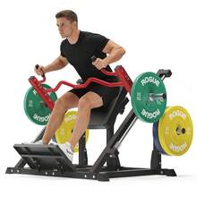 Studyset Home Gym Linear Row Machine, Plate-Loaded Smith-Style Back ...