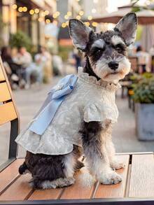 PETCIRCLE 1pc Pet Clothing Dog Cat Clothes Outdoor Indoor Apparel For ...