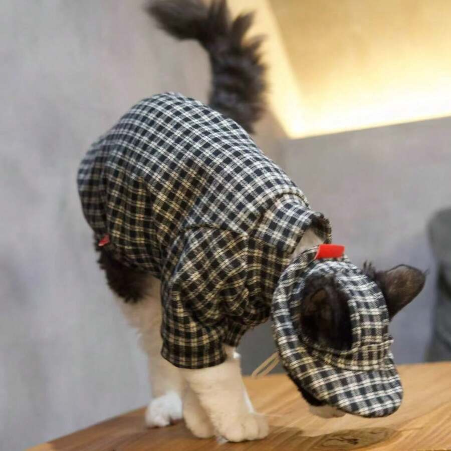 British Style Devon Rex Cat Clothes Hairless Cat Abyssinian Siamese Cat ...