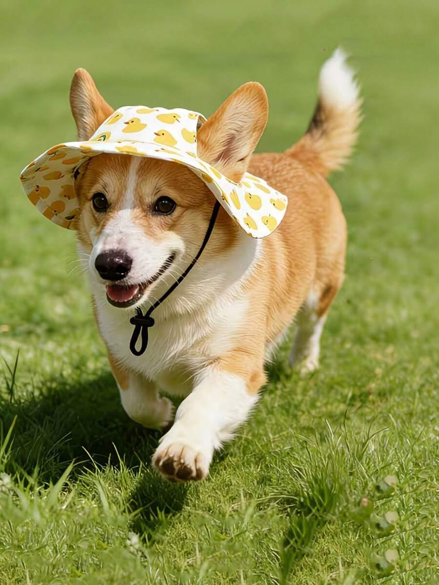 Pet Duckling Sun Hat, Duckling Design, Suitable For Outdoor Use ...