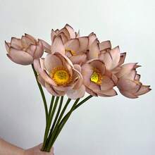 1/2 Stem Artificial Lotus Flower, Lotus Pod, Home Decor, Photography ...