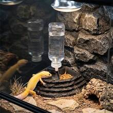 1pc Reptile Water And Food Feeding Bowl With Ramp, 2-In-1 Stable Bowl ...
