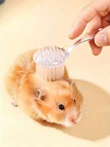 1pc Mini Massage Cleaning Brush, Pet Brush Suitable For Hamsters And ...