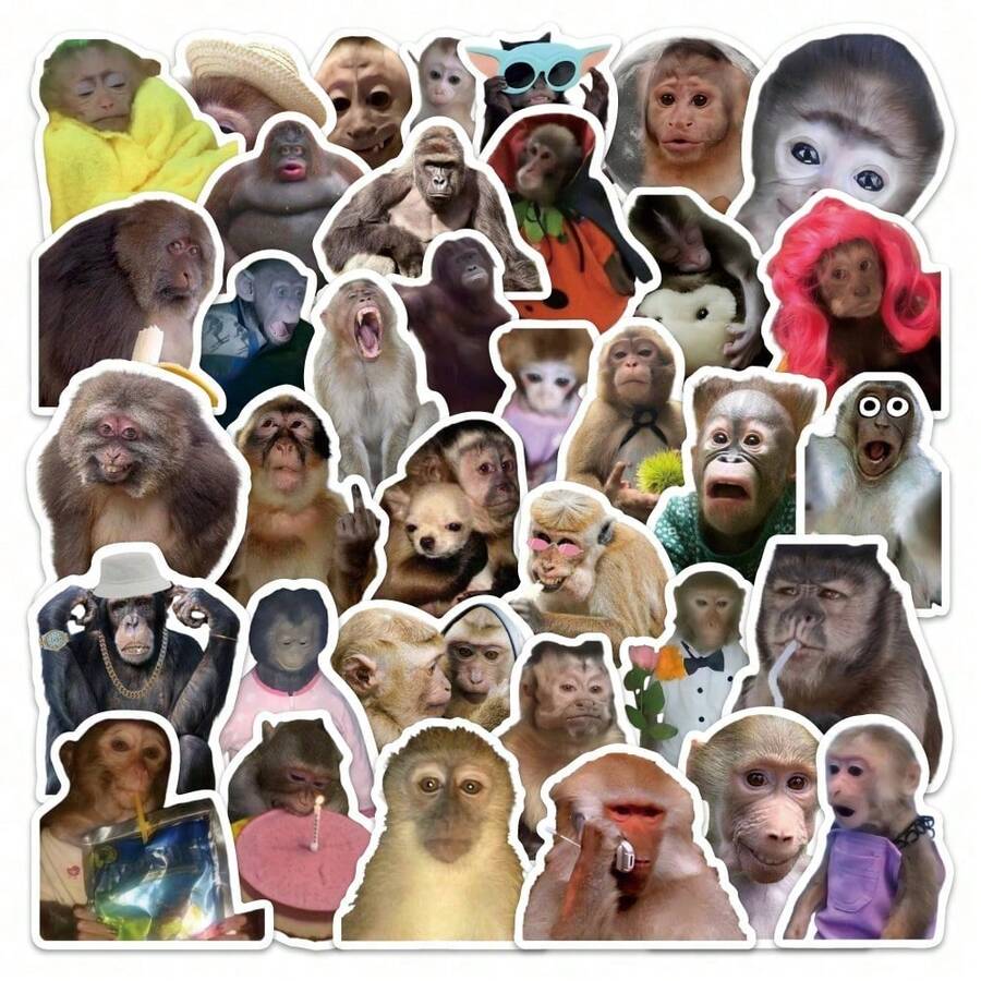 54pcs Monkey Meme Stickers, Funny Abstract Ins Style Expression ...