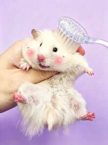 1pc Mini Massage Cleaning Brush, Pet Brush Suitable For Hamsters And ...