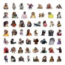 54pcs Monkey Meme Stickers, Funny Abstract Ins Style Expression ...