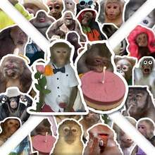 54pcs Monkey Meme Stickers, Funny Abstract Ins Style Expression ...