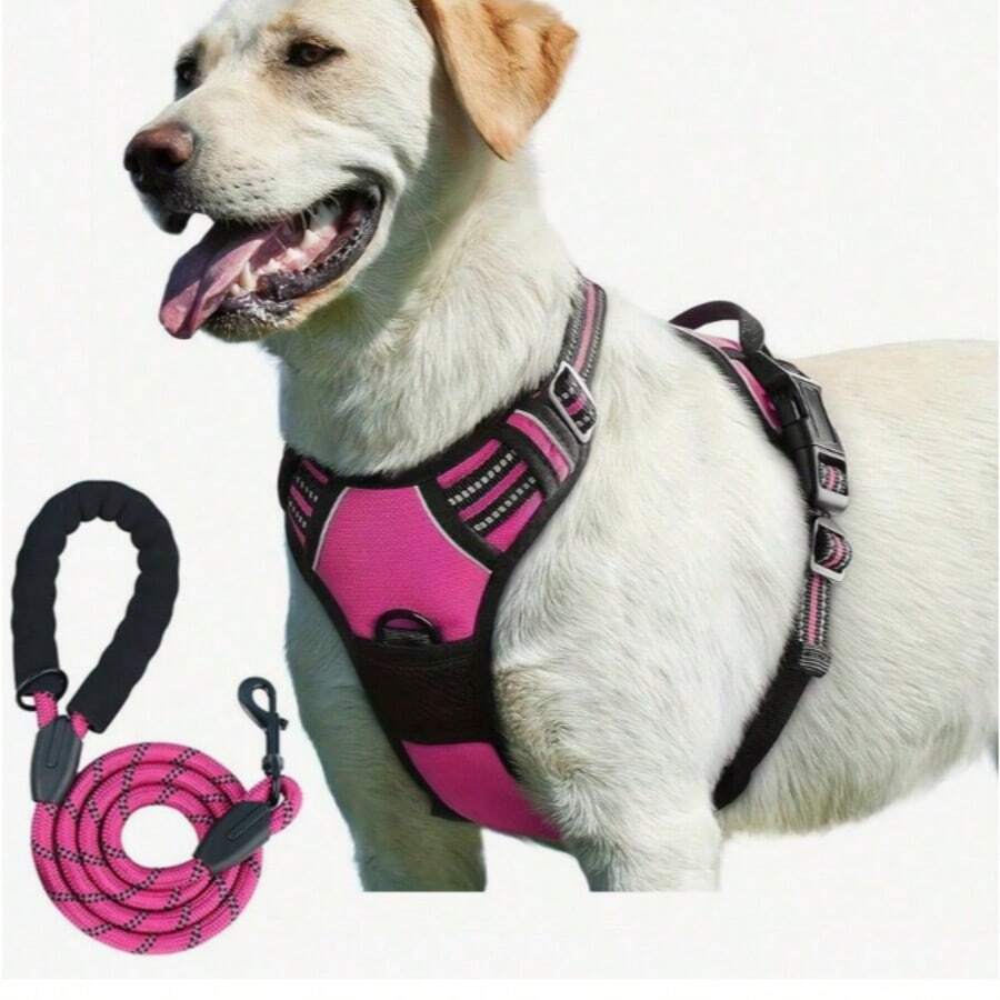 Reflective Dog Harness With 1.5m Leash, Breathable Pet Harness ...
