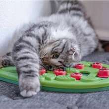 Pet Puzzle Sniffing Treat Hiding Toy Cat Slow Feeder Bowl Anti-Choke ...