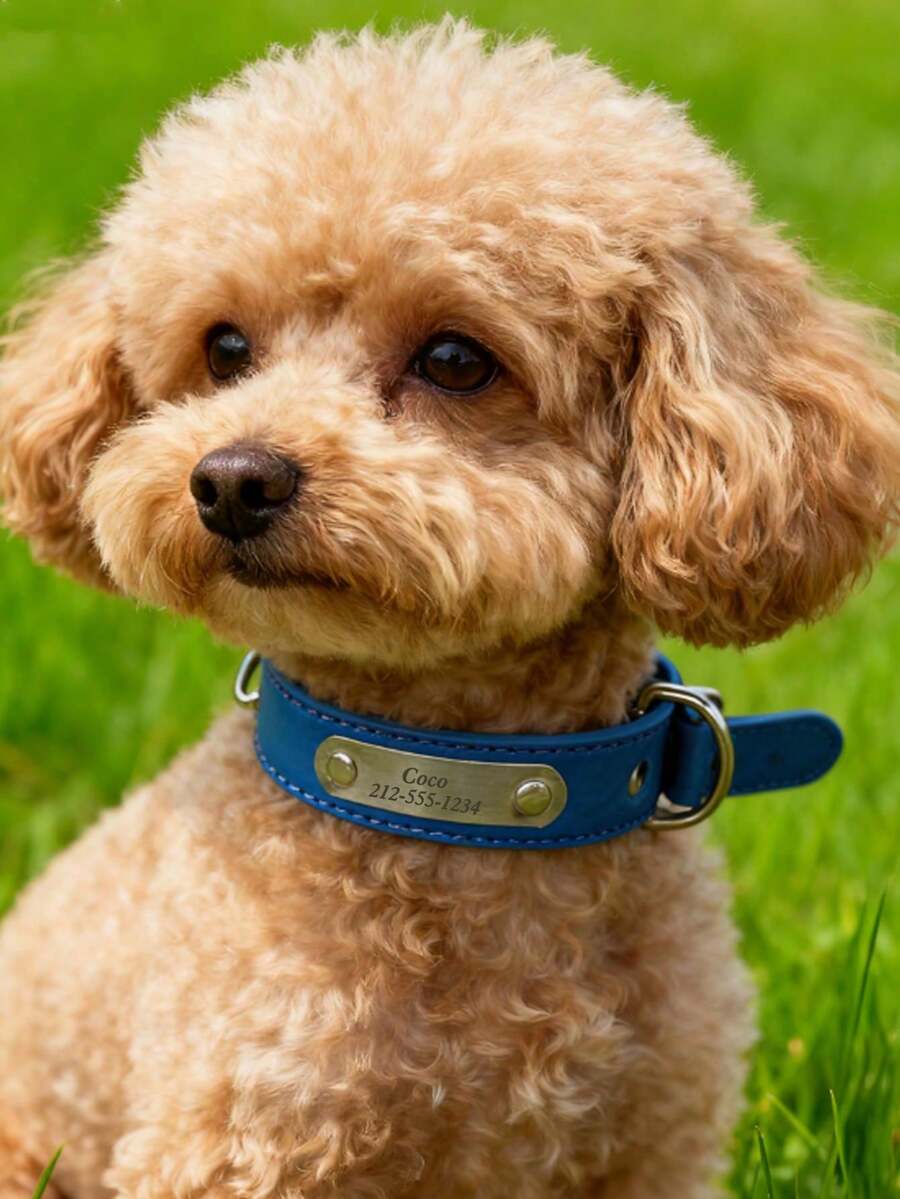 1pc Personalized Leather Pet Collar: Laser Engraved With Pet's Name And ...