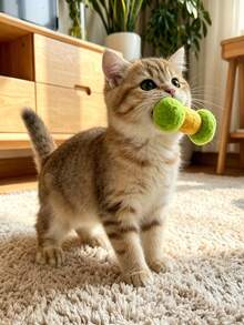 3/1pcs Cat Felt Ball Toys With Built-In Bell, Pet Toys, Self ...