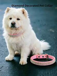 [Pet Essentials]Luxury Rhinestone Dog Collar! High-Grade Silver Alloy ...