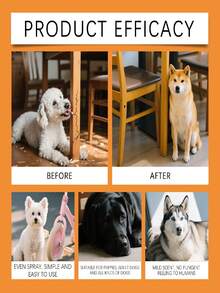 Dog Anti-Chew Bitter Spray, Reduce Furniture Chewing, Bitter Taste ...